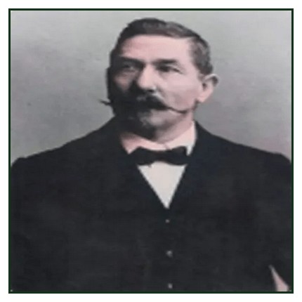 Vice-Regal Visit and Warm Welcome in Limerick | Limerick Archives